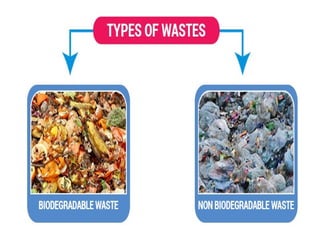 4 Social Science Waste Management Ppt Pptx