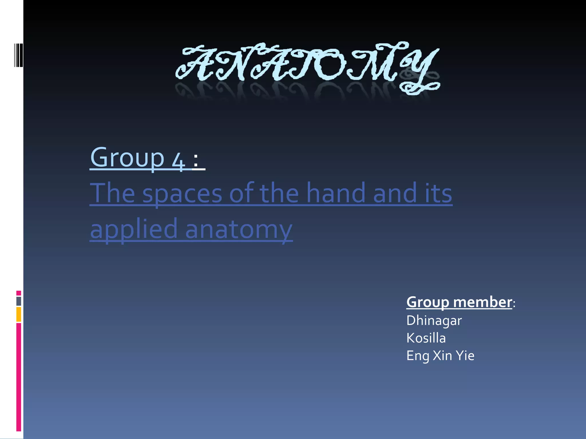 4. spaces of the hand & its applied anatomy[1] | PPT