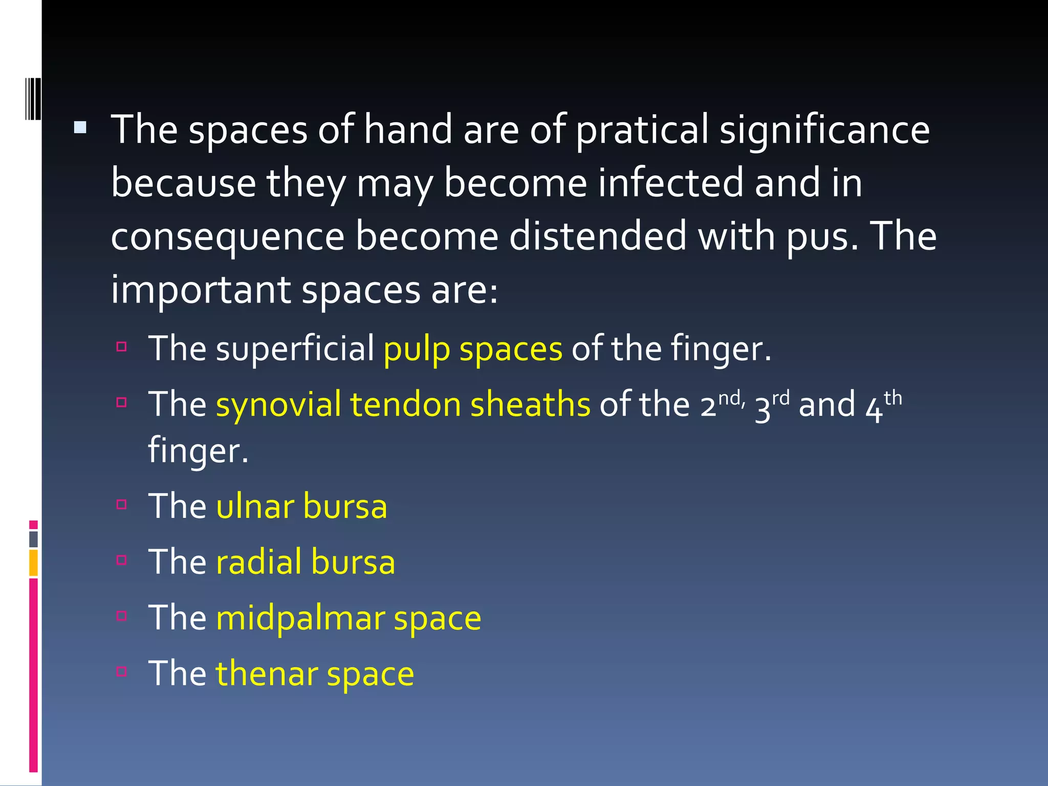 4. spaces of the hand & its applied anatomy[1] | PPT