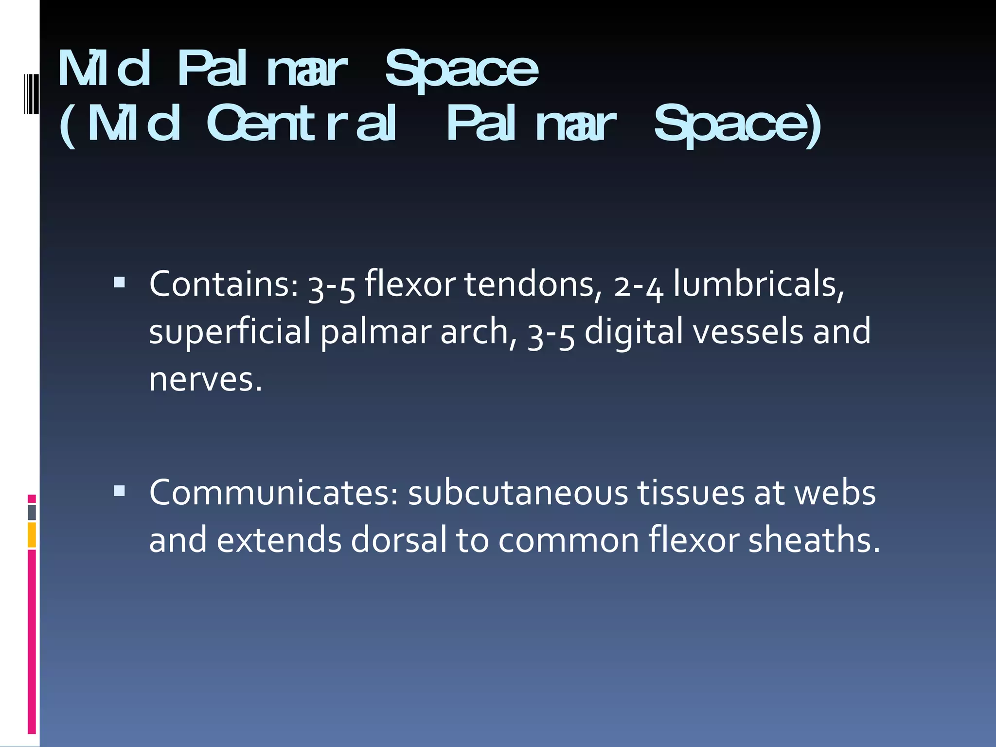 4. spaces of the hand & its applied anatomy[1] | PPT