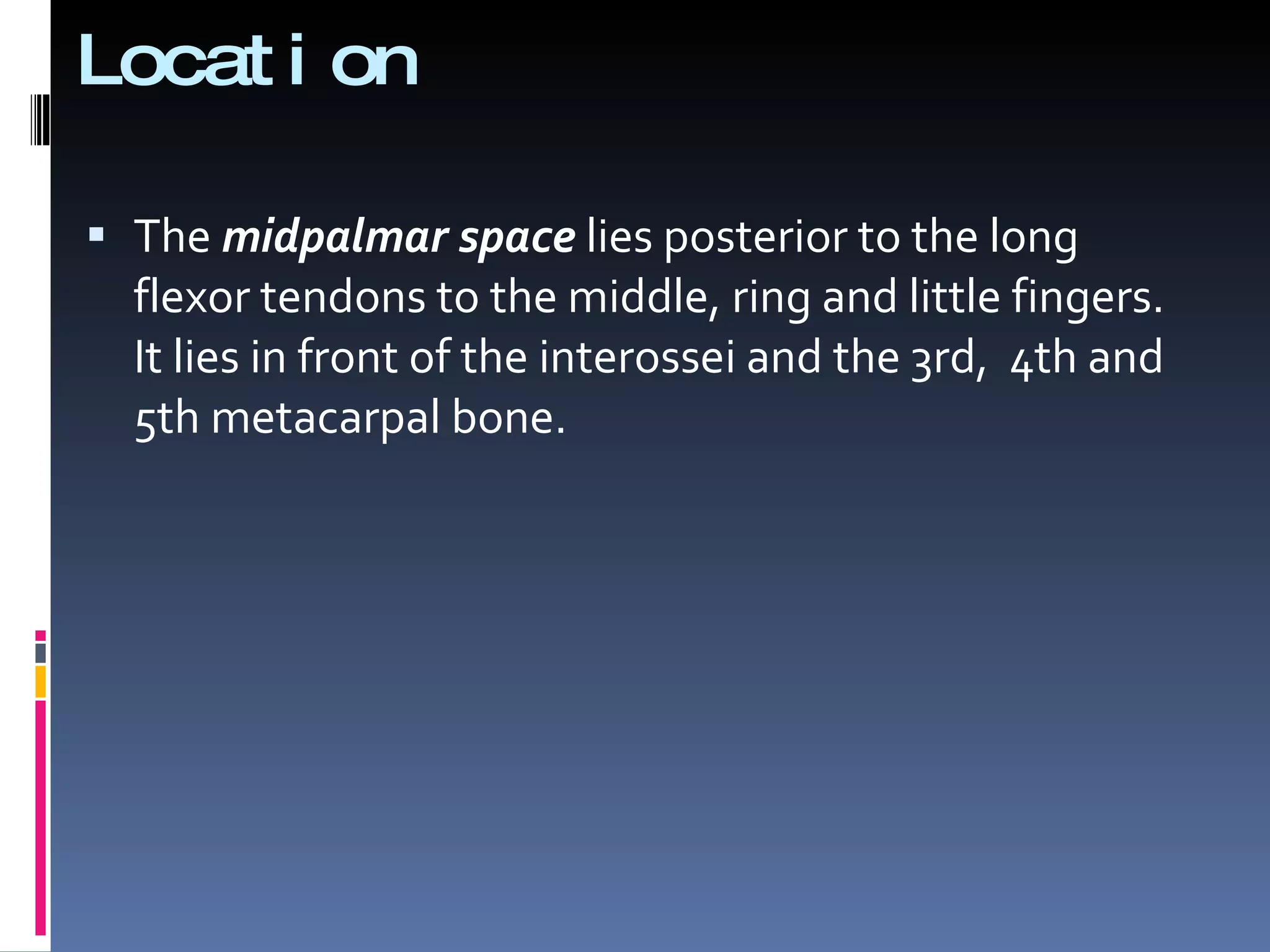 4. spaces of the hand & its applied anatomy[1] | PPT