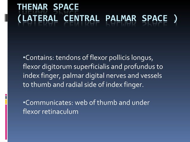4. spaces of the hand & its applied anatomy[1] | PPT