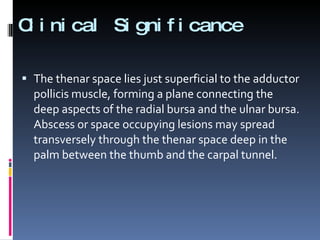 4. spaces of the hand & its applied anatomy[1] | PPT