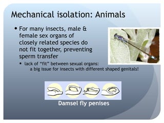 Speciation | PPT