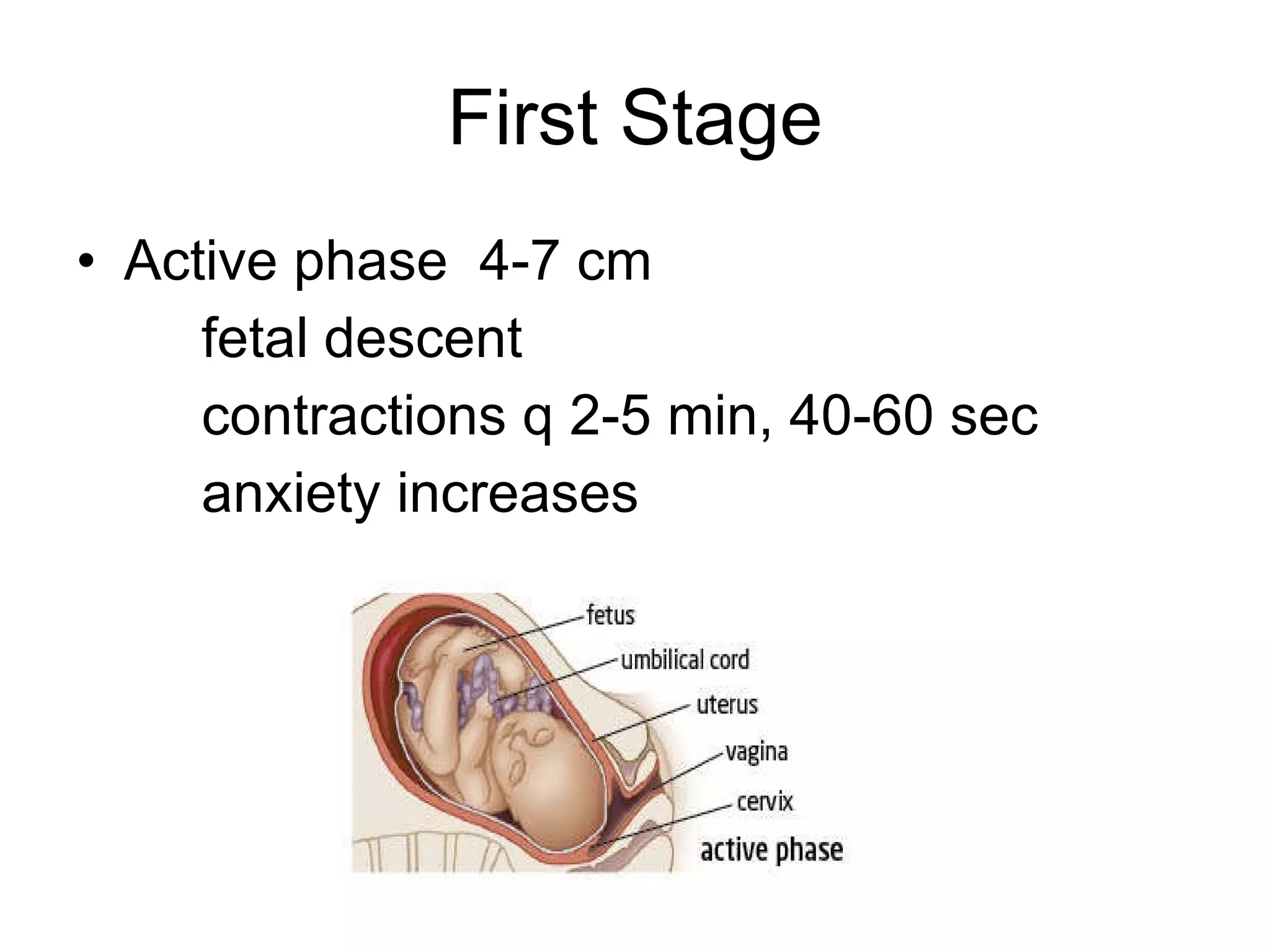 4 Stages of Labor | PPT