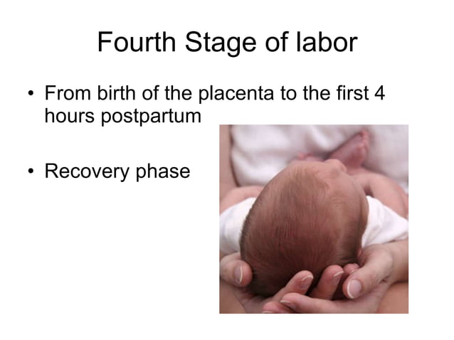 4 Stages of Labor | PPT | Pregnancy | Reproductive Health