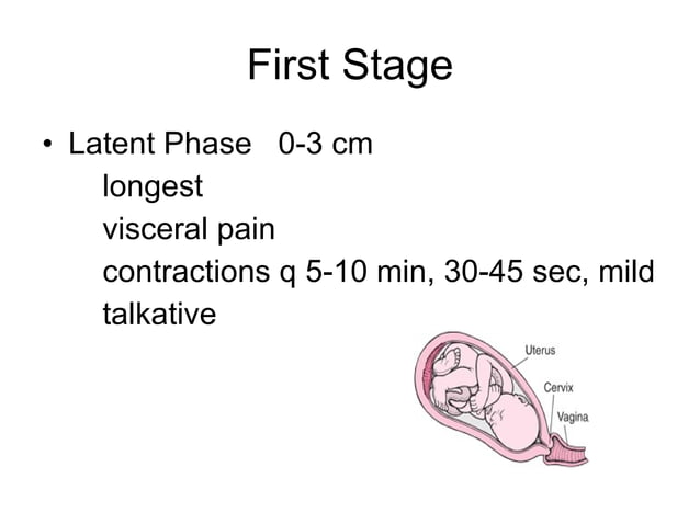 4 Stages of Labor | PPT | Pregnancy | Reproductive Health