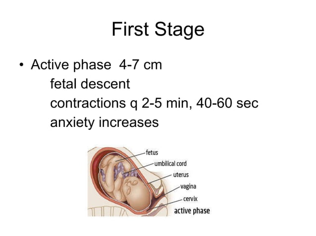 4 Stages of Labor | PPT | Pregnancy | Reproductive Health