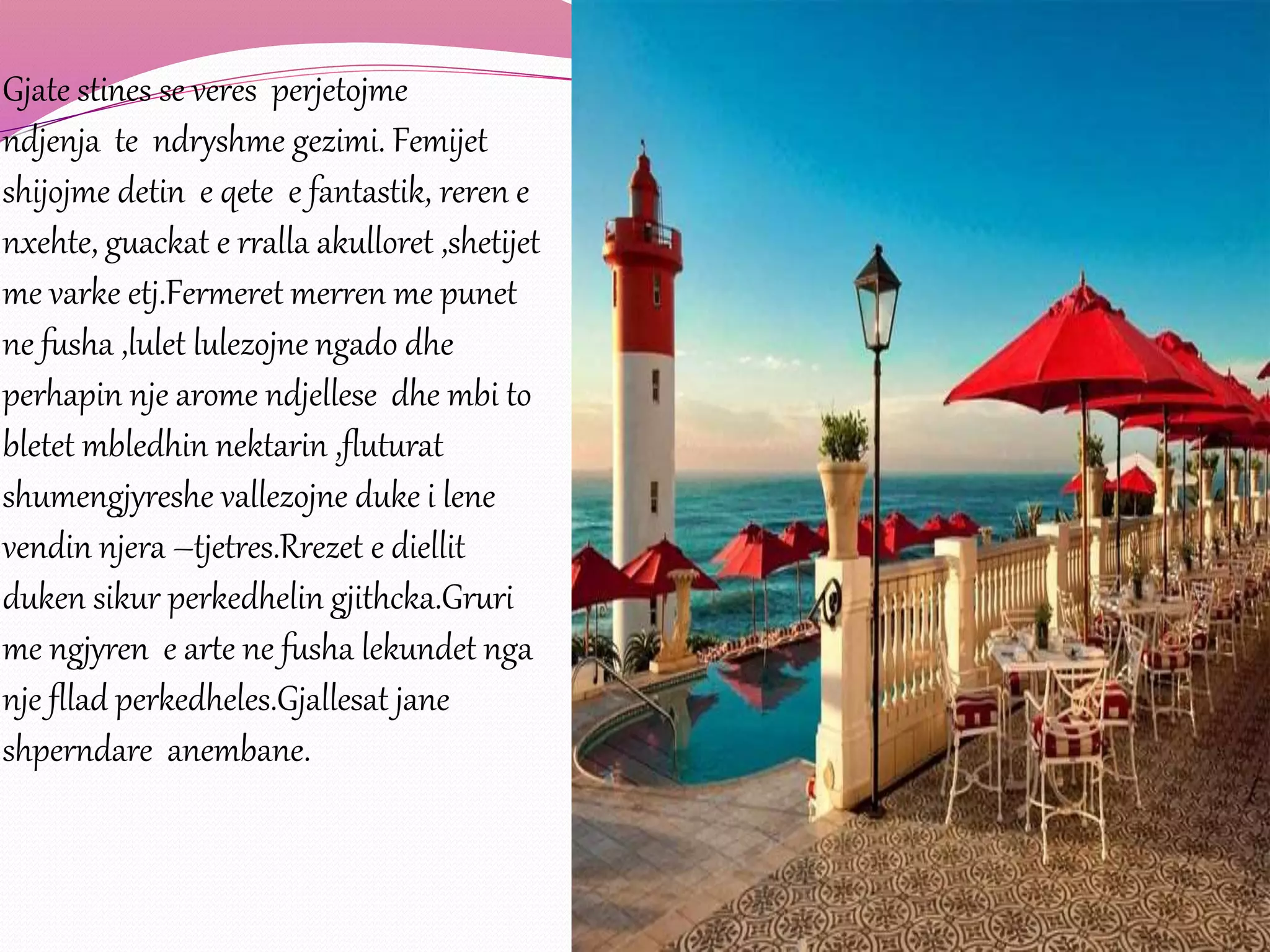 4 stinet e vitit | PPTX