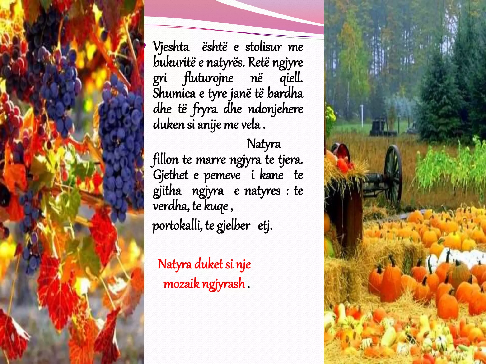 4 stinet e vitit | PPTX