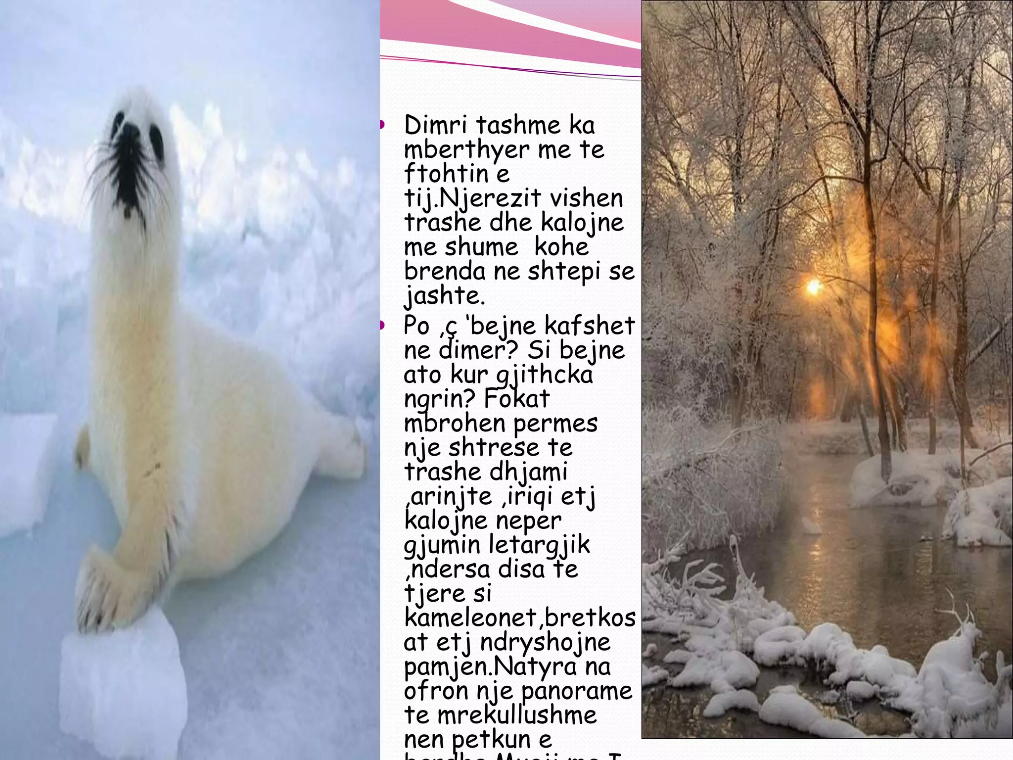 4 stinet e vitit | PPTX