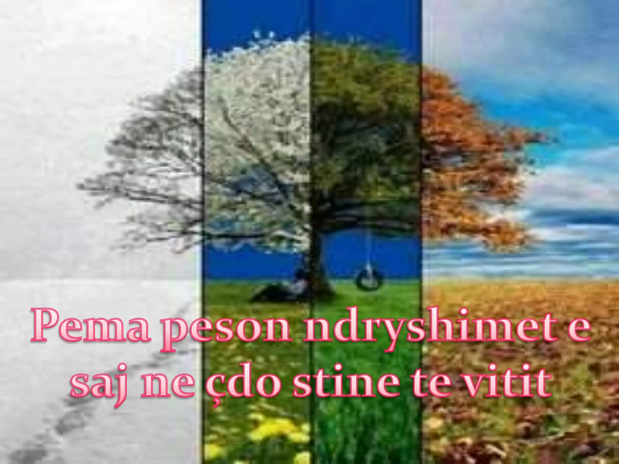 4 stinet e vitit | PPTX