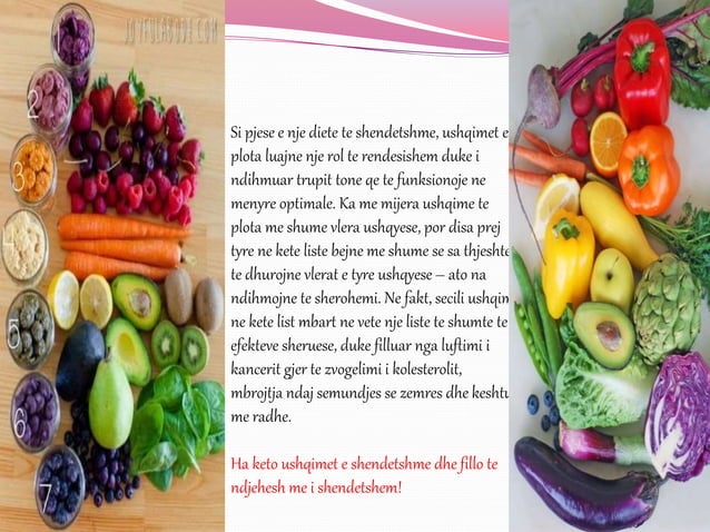 4 stinet e vitit | PPTX