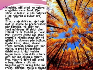 4 stinet e vitit | PPTX