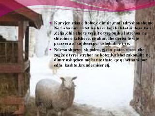 4 stinet e vitit | PPTX