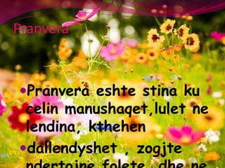 4 stinet e vitit | PPTX