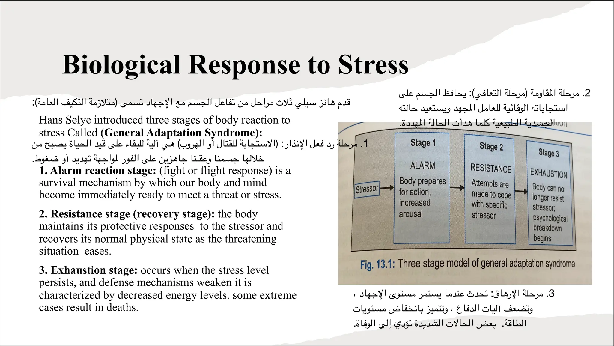 4-Stress and how to coping mechanisms pdf | PDF