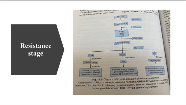 4-Stress and how to coping mechanisms pdf | PPT