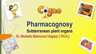 Turmeric, RHUBARB, FILIX MAS (Male Fern), GARLIC, HYDRASTIS ...