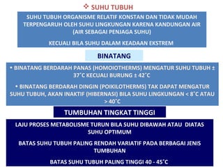 4 suhu | PPT