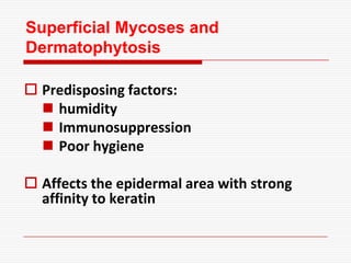4 superficial mycoses78 | PPTX