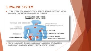 Human body system | PPT