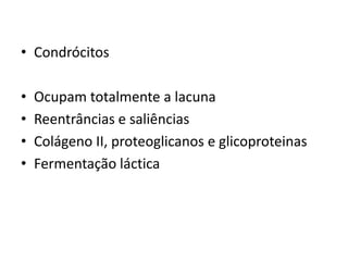 4.tecido cartilaginoso | PPTX