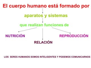 4º tema 1- el aparato digestivo | PPT