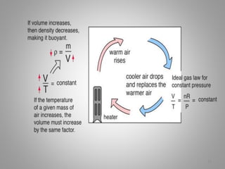 Temperature Regulation Of The Human Body | PPTX