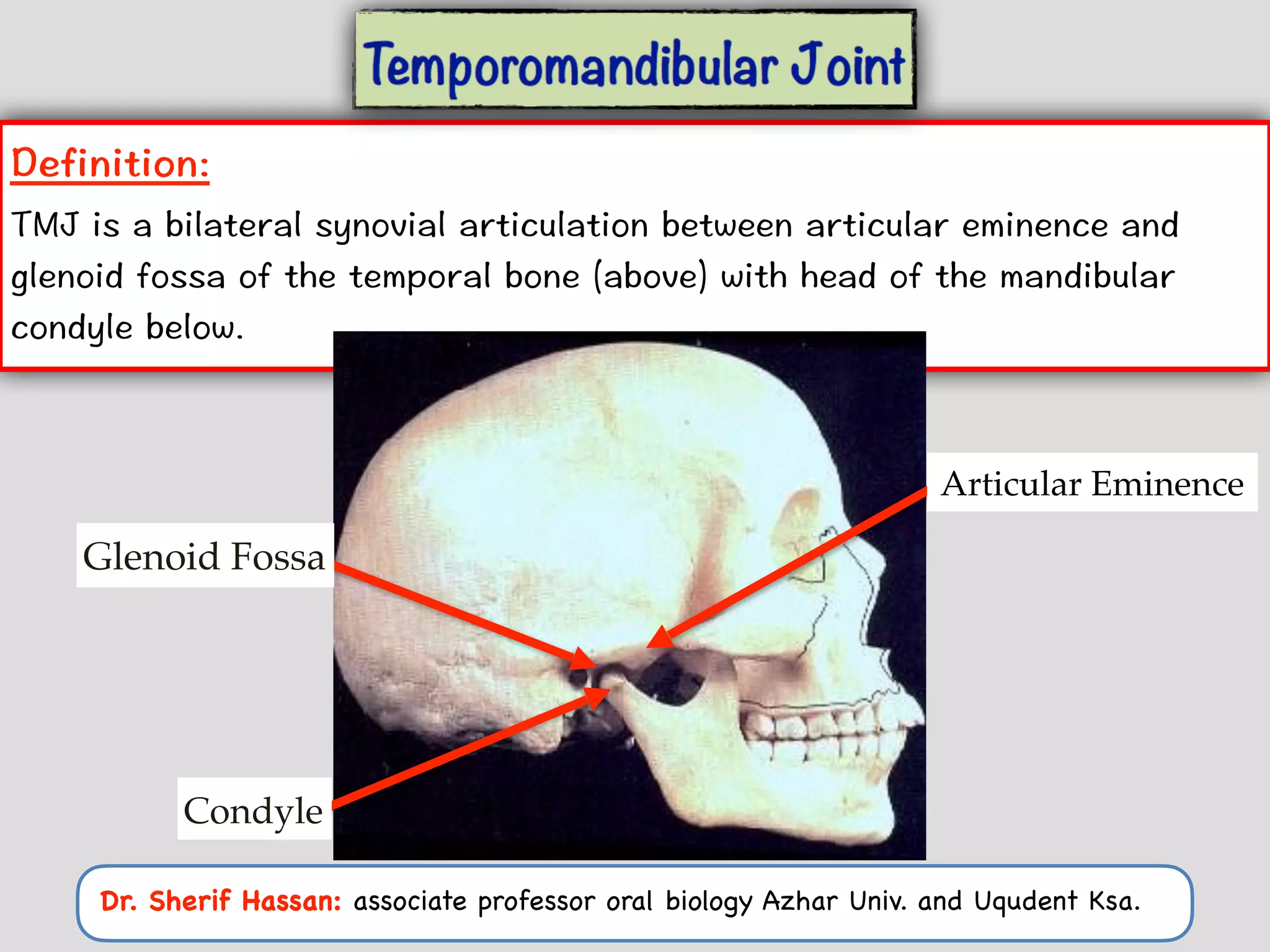 Temporomandibular joint dr sherif hassan oral biology Azhar Univ. and ...