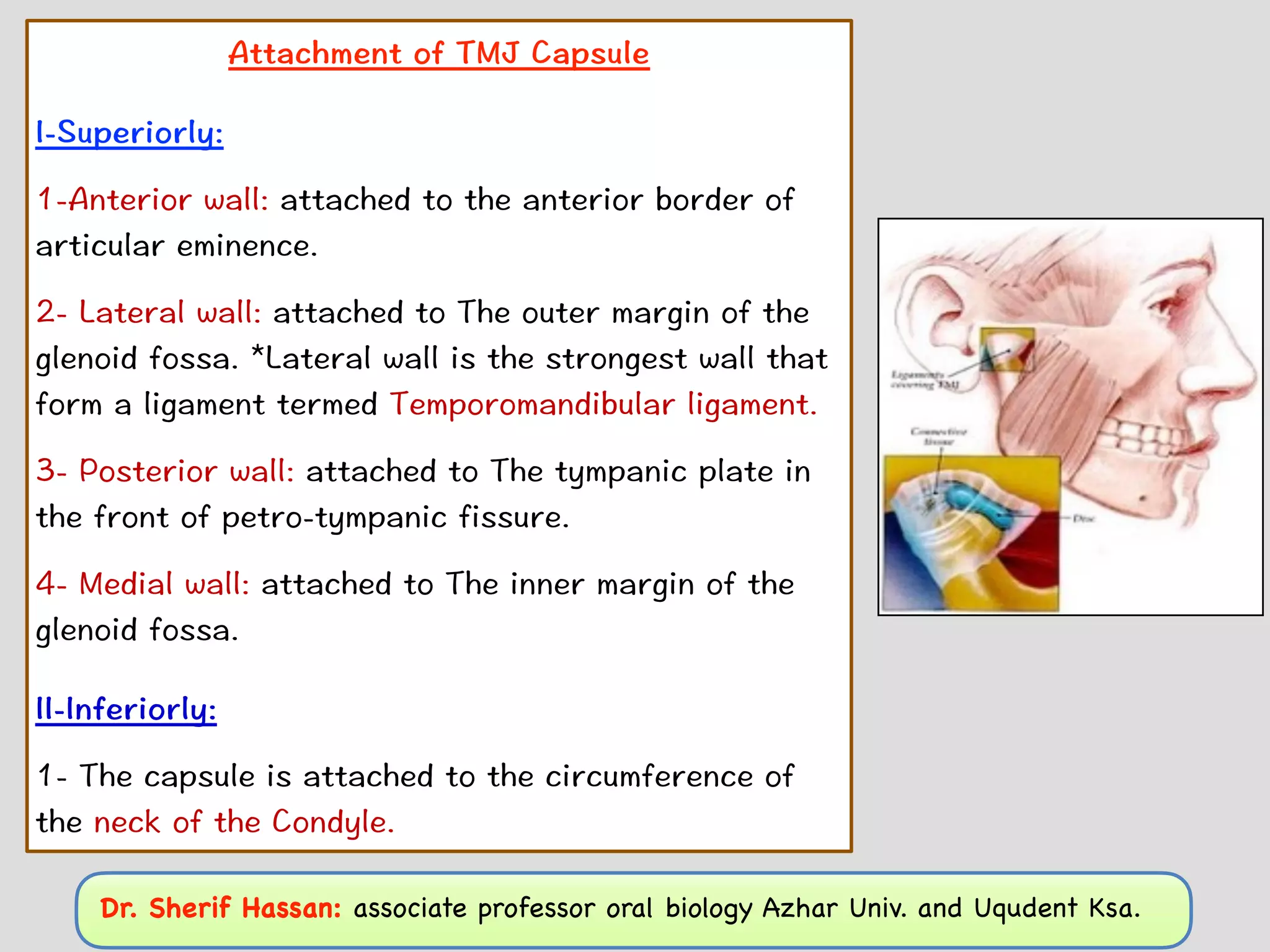 Temporomandibular joint dr sherif hassan oral biology Azhar Univ. and ...