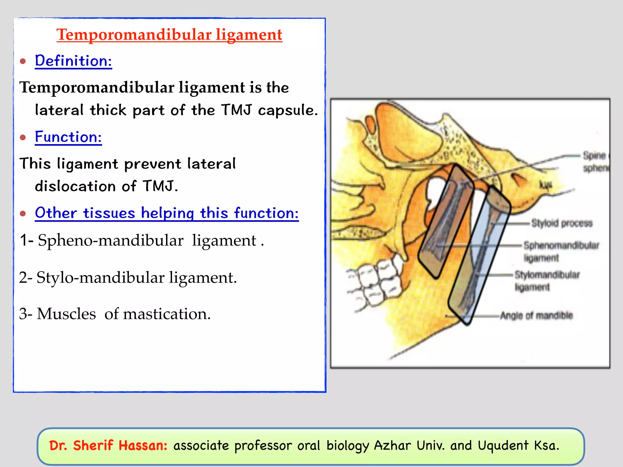 Temporomandibular joint dr sherif hassan oral biology Azhar Univ. and ...
