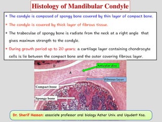 Temporomandibular joint dr sherif hassan oral biology Azhar Univ. and ...