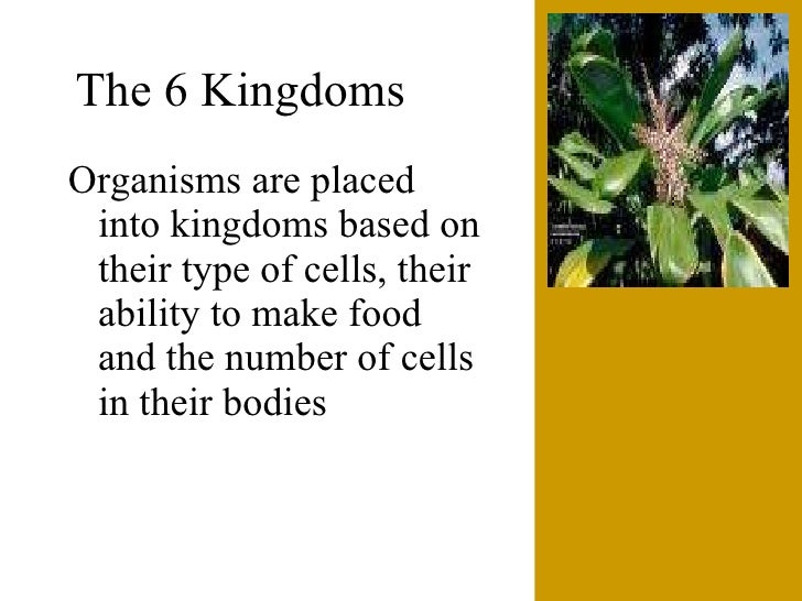 The6 Kingdoms.ClassificationNotes#4