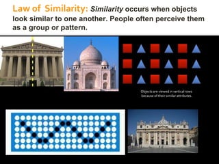 4-2024 The gestalt laws of perception.pptx | Physics | Science