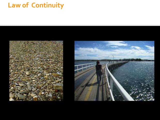 4-2024 The gestalt laws of perception.pptx | Physics | Science