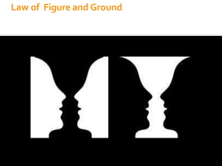4-2024 The gestalt laws of perception.pptx | Physics | Science