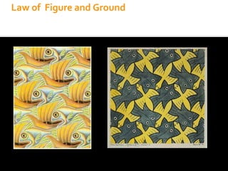 4-2024 The gestalt laws of perception.pptx | Physics | Science