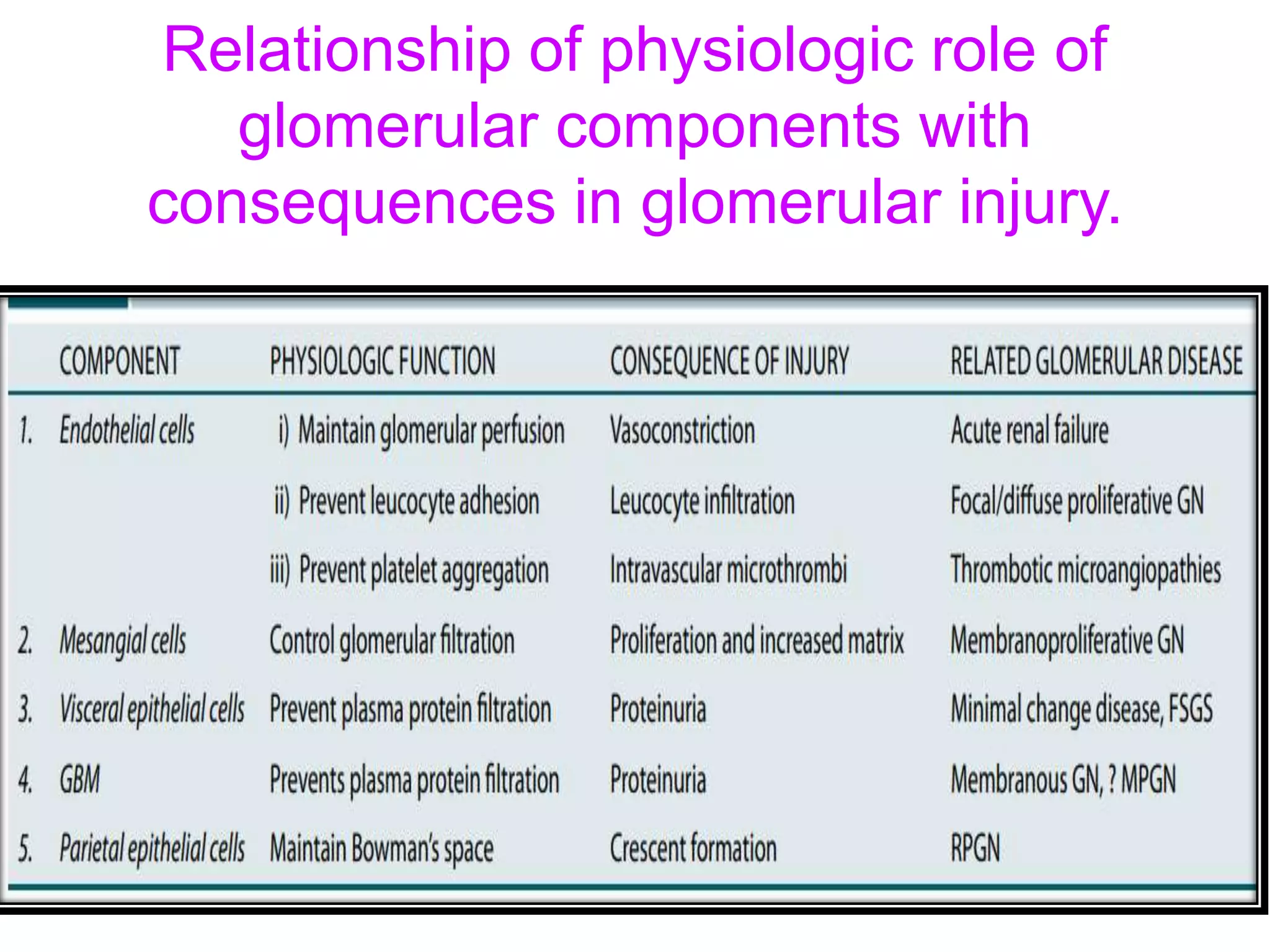 The KIDNEY - PATHOGENESIS OF GLOMERULAR DISEASES | PPTX