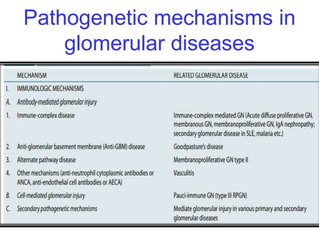 The KIDNEY - PATHOGENESIS OF GLOMERULAR DISEASES | PPTX