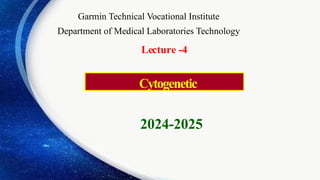 4- theory cytogenetics Study of Chromosomes.pptx