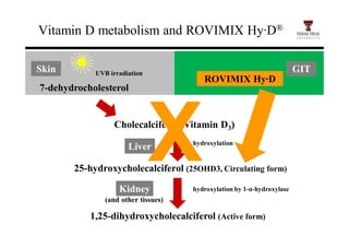 Role of vitamin D in broiler chicken skeletal muscle development and ...