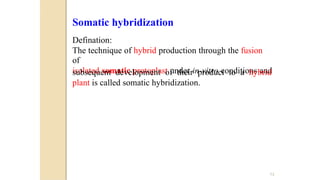 Tissue-culture-Types-Hybridization. pptxpptx | PPT
