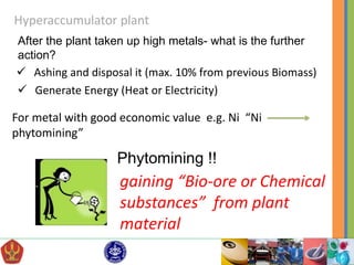 Phytoremediation of Heavy Metal and Metalloid: Potentials for Mangrove ...