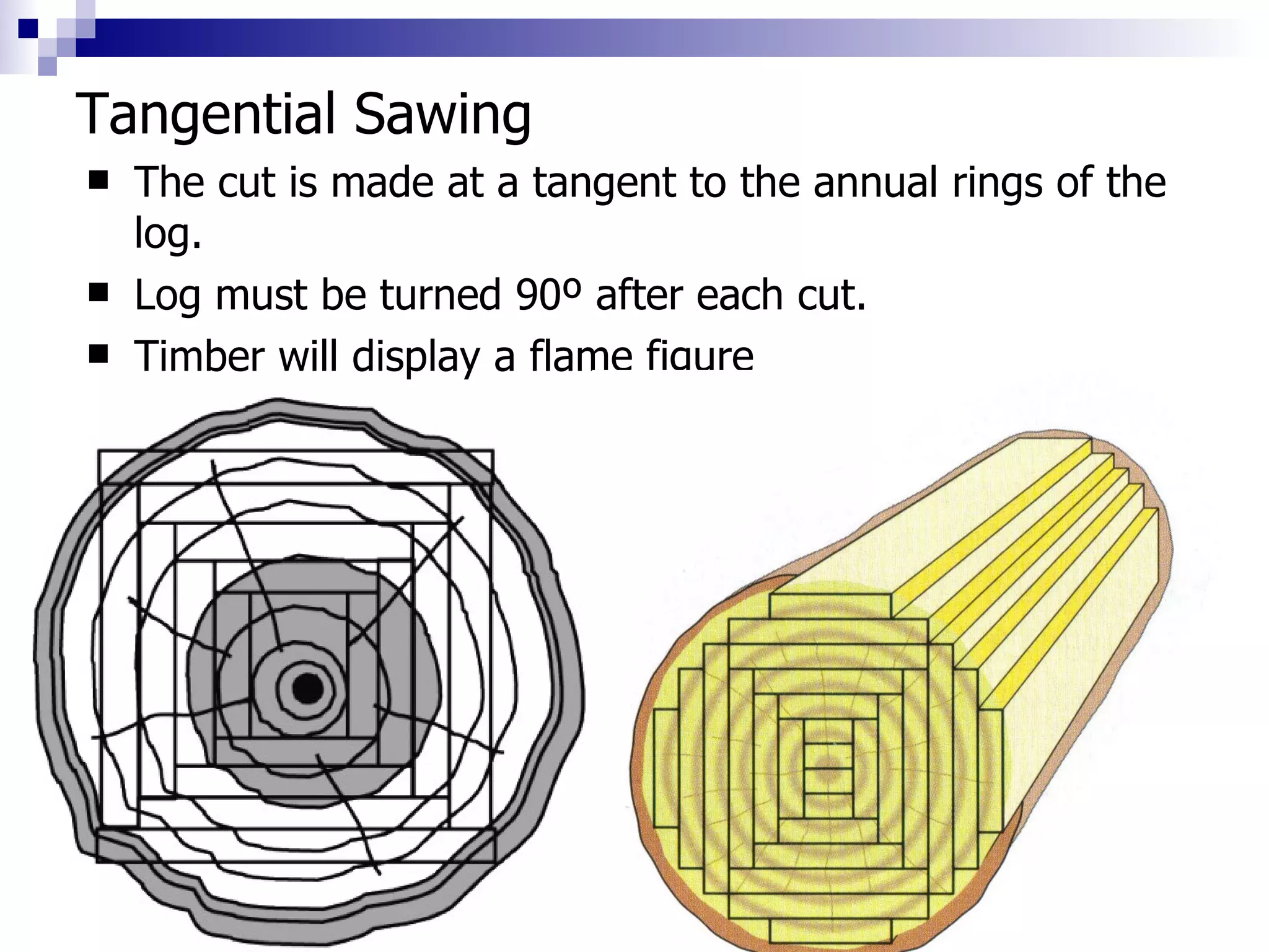4 Tree Conversion Ppt