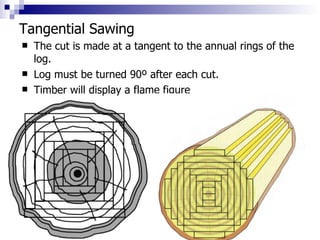 4. tree conversion | PPT