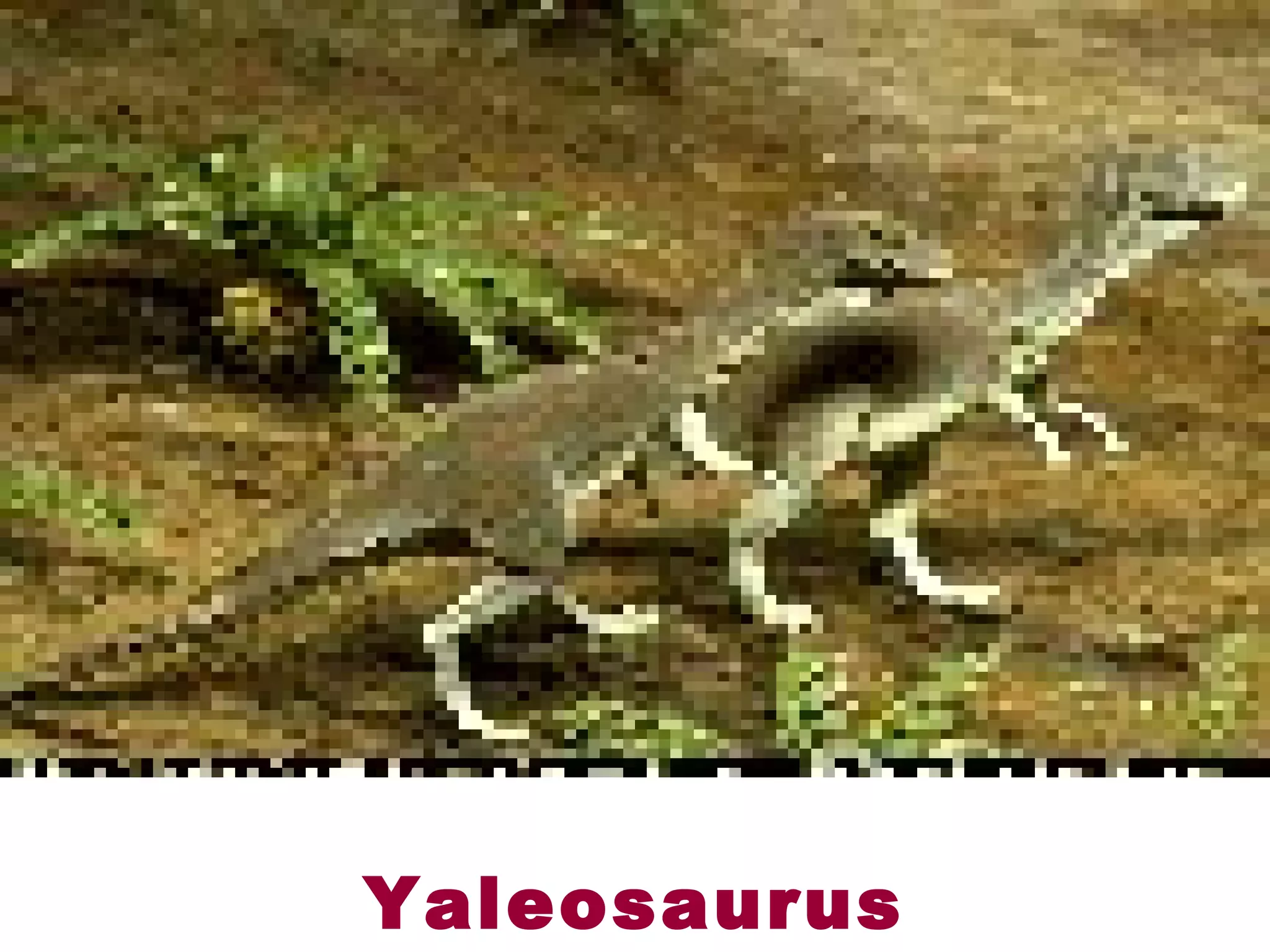 Triassic-Jurassic Periods | PPT