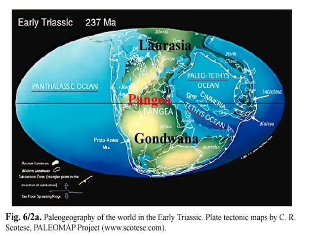 Triassic-Jurassic Periods | PPT | Geography | Science