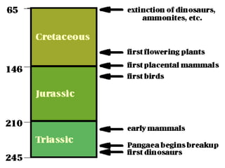 Triassic-Jurassic Periods | PPT