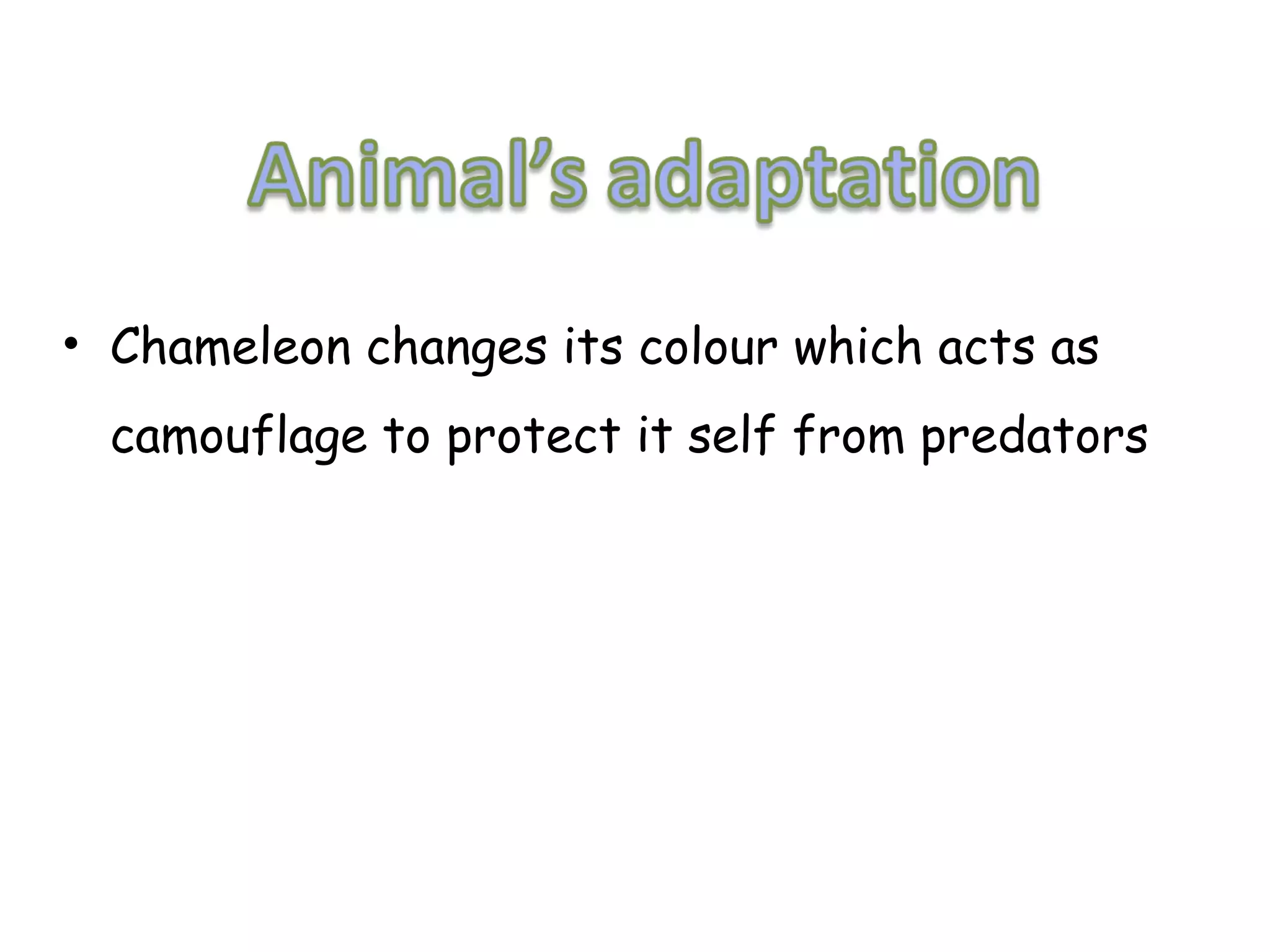 4 tropical rain forest biome | PPT